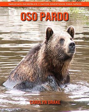 Libro Oso Pardo: Imágenes Increíbles y Datos Divertidos Para Niños De ...