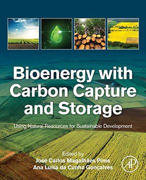 Libro Bioenergy With Carbon Capture and Storage: Using Natural ...