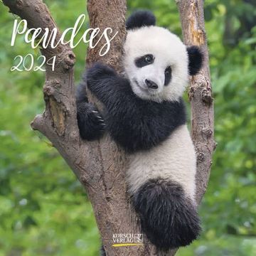 Libro Pandas 2024 De Author Not Specified - Buscalibre