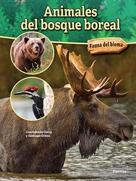 Libro Animales del Bosque Boreal: Boreal Forest Animals De Cocca - Buscalibre