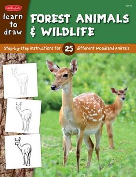 Libro learn to draw forest animals and wildlife De cuddy, robbin (ilt ...