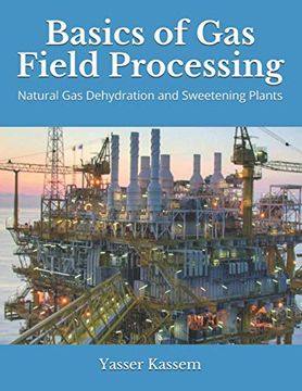 Libro Basics of gas Field Processing: Operation of Natural gas ...