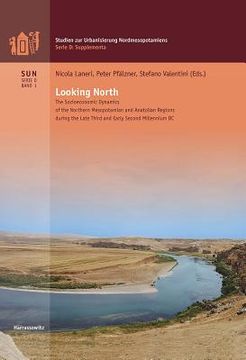 Libro Looking North the Socioeconomic Dynamics of the Northern ...
