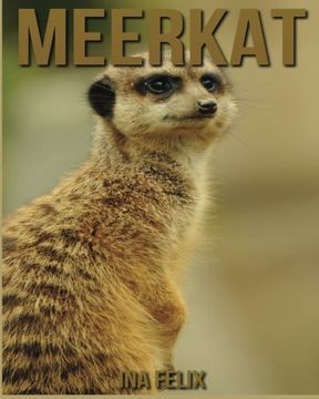 Libro Meerkat: Children Book of Fun Facts & Amazing Photos on Animals ...