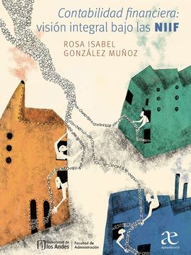 Libro Contabilidad financiera. Visión integral bajo las NIIF De Rosa ...