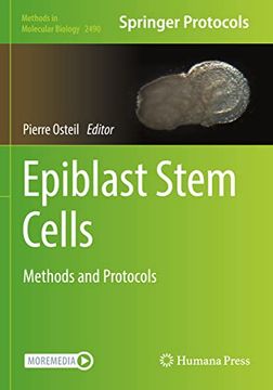 Libro Epiblast Stem Cells: Methods and Protocols (Methods in Molecular Biology) (en Inglés) De ...