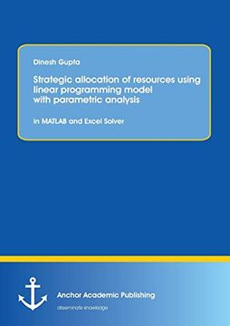 Libro Strategic Allocation of Resources Using Linear Programming Model With Parametric Analysis ...