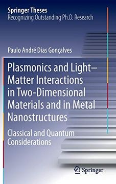 Libro Plasmonics and Light-Matter Interactions in Two-Dimensional Materials and in Metal ...