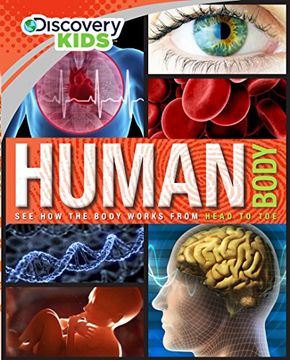 Libro DISCOVERY KIDS HUMAN BODY De Parragon - Buscalibre