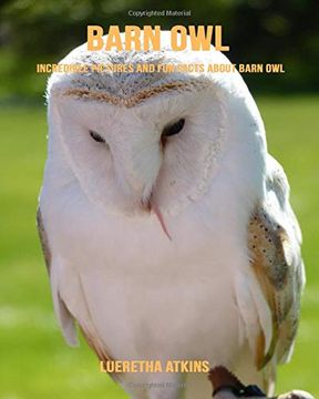 Libro Barn Owl: Incredible Pictures and fun Facts About Barn owl De ...