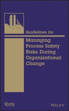 Libro Guidelines For Managing Process Safety Risks During ...
