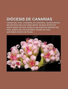 Libro di cesis de canarias: virgen del pino, catedral de canarias, iglesia matriz de santiago de ...