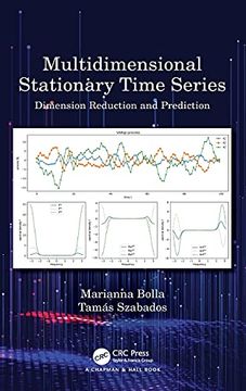 Libro Multidimensional Stationary Time Series: Dimension Reduction and Prediction De Marianna ...