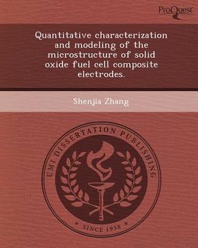 Libro quantitative characterization and modeling of the microstructure ...