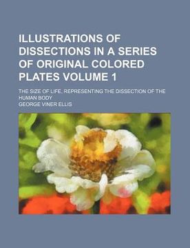 Libro illustrations of dissections in a series of original colored ...