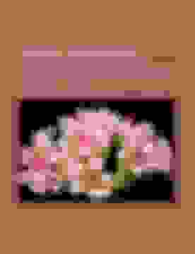 Libro fictional receptionists: pee-wee herman, gail platt, amber moore ...