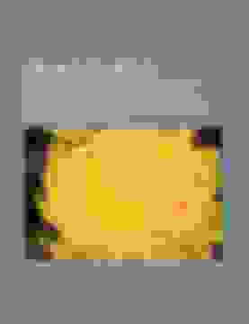 Libro enanas blancas: sirio, enana blanca, ik pegasi, procyon, gliese ...