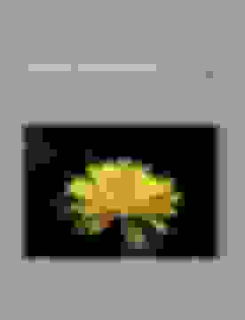 Libro crash bandicoot: personajes de crash bandicoot, videojuegos de ...