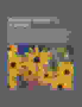 Libro redditch united f.c. players: jerry gill, exodus geohaghon, scott ...