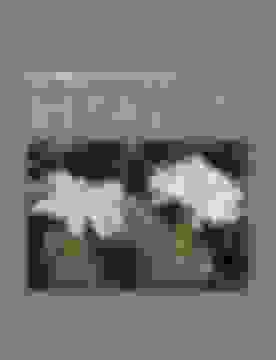 Libro german rappers: bushido, sabrina setlur, fler, sido, flula borg ...