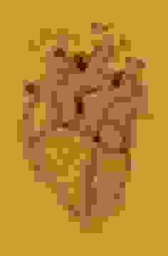 Libro Latidos que no Dije De Roos Roos - Buscalibre