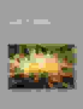 Libro alias (tv series): alias (tv series) characters, alias (tv series ...