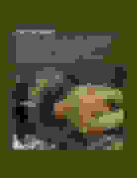 Libro diagrams: venn diagram, jackson structured programming, unified ...