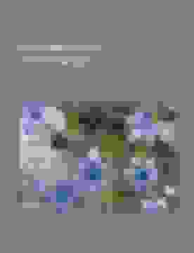 Libro documentary hypothesis: authorship of the bible, ritual decalogue ...