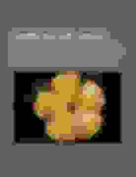 Libro harry potter - magic: anapneo, anti-jinx, apparition, aura ...