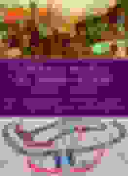 Libro tecnicas belicas del mundo antiguo/ fighting techniques of the ...