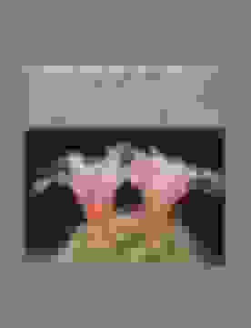 Libro icebreakers of canada: icebreaker fyodor litke, wind class ...