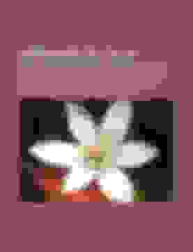 Libro sopranos de italia: mirella freni, renata tebaldi, renata scotto ...