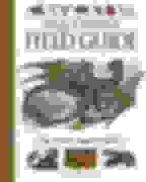 Libro Dracopedia Field Guide: Dragons of the World From Amphipteridae ...